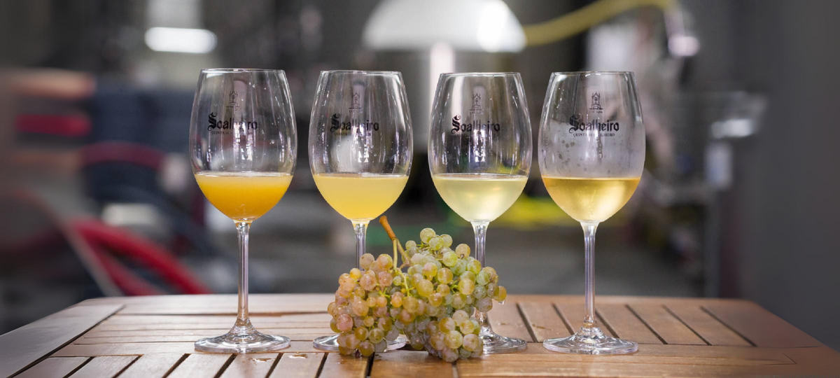 HALLO – ALLO Portugal – VINHO BAR